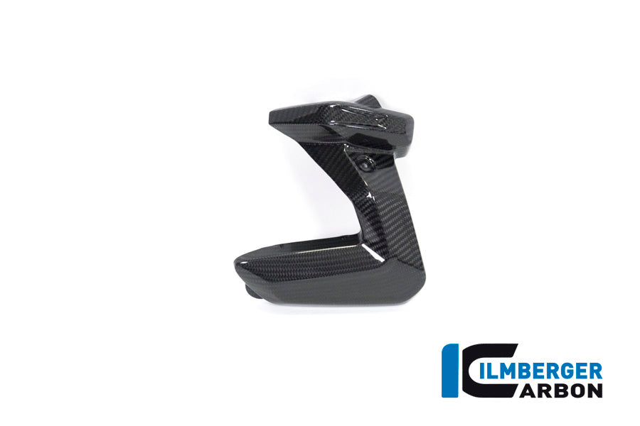 Ilmberger Carbon Fibre Left Spark Plug Cover For BMW R 1250 GS 2019-22 ...